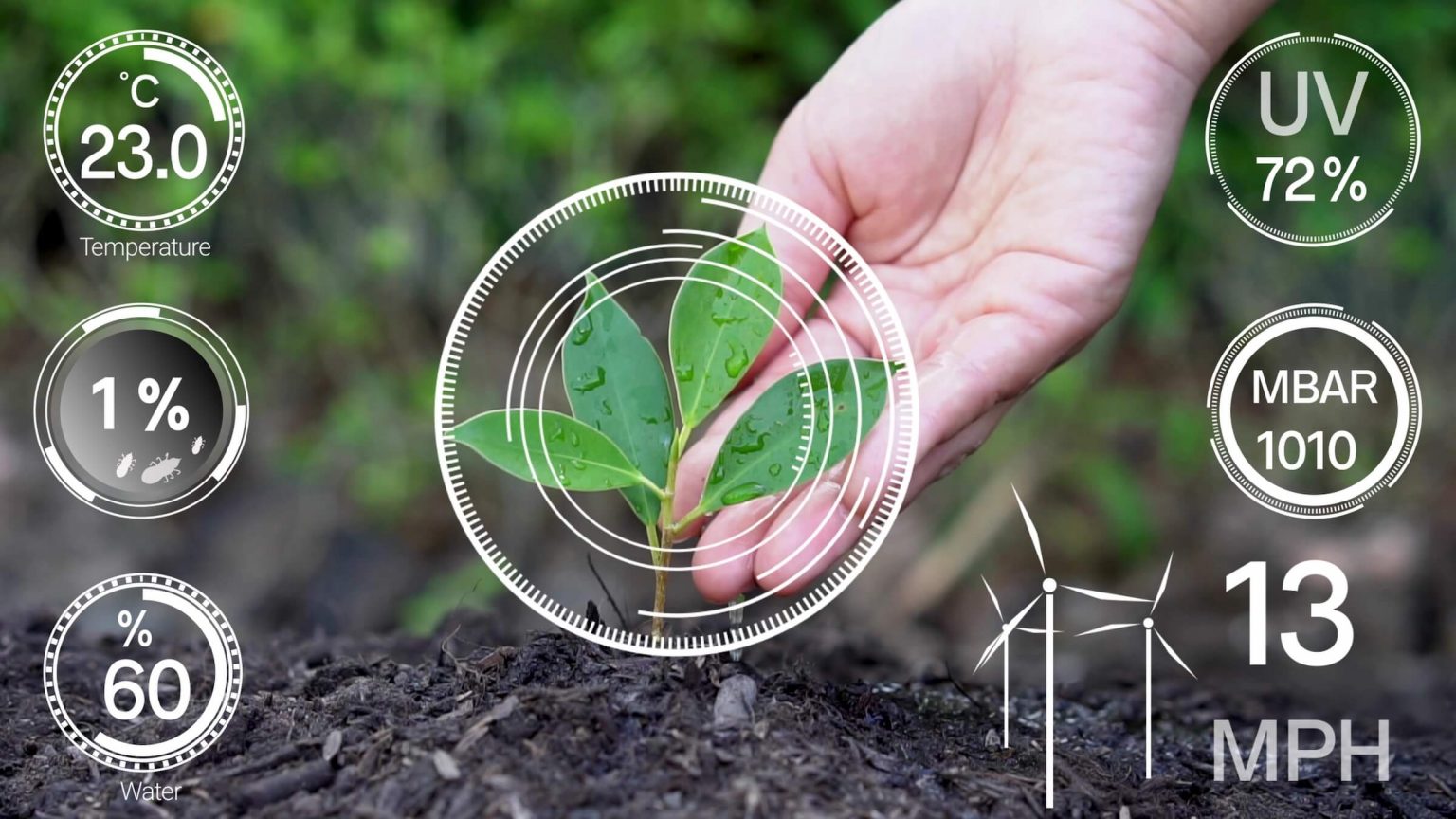 Organic Federation of Canada